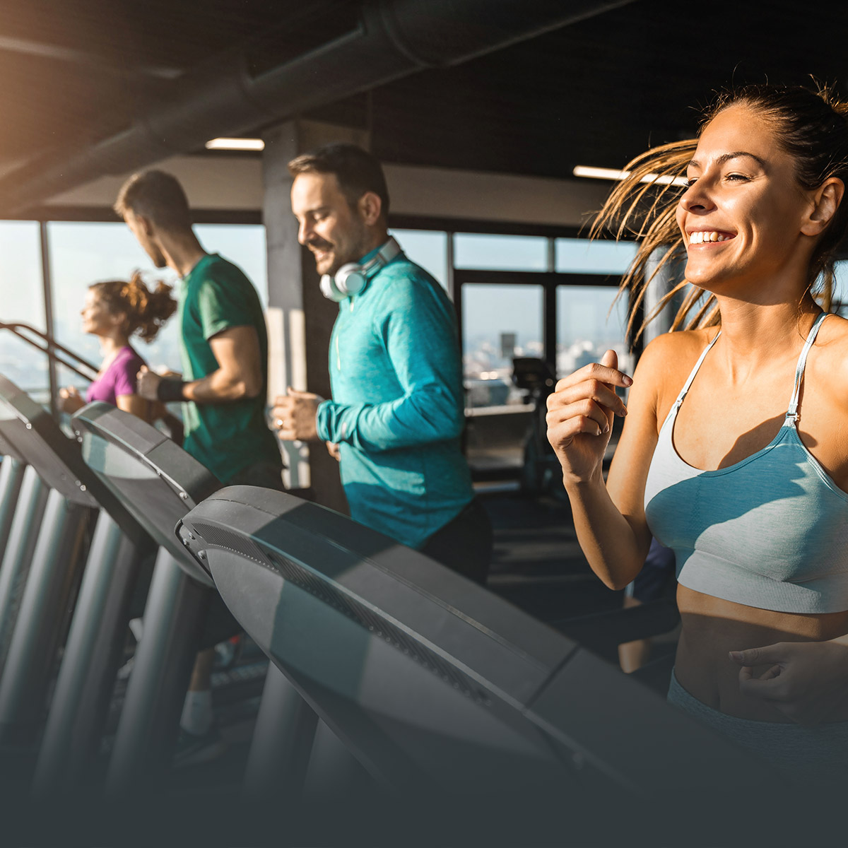 The Park | Langstone Park